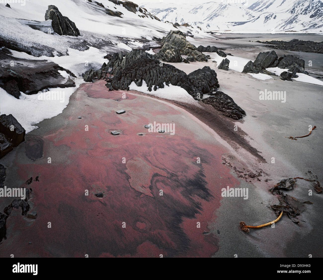 The fjeld hi-res stock photography and images - Alamy