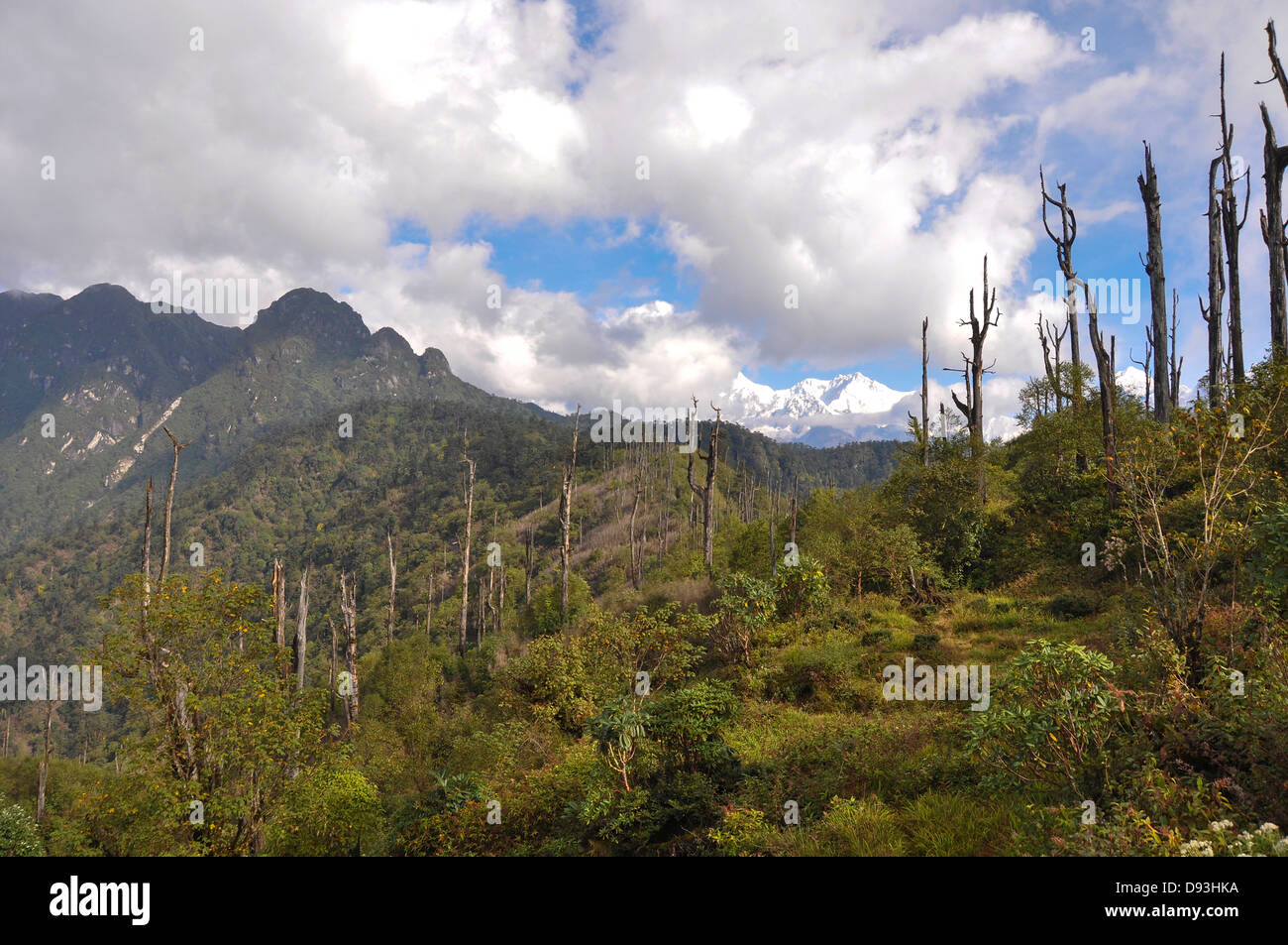 India, Sikkim landscape Stock Photo - Alamy