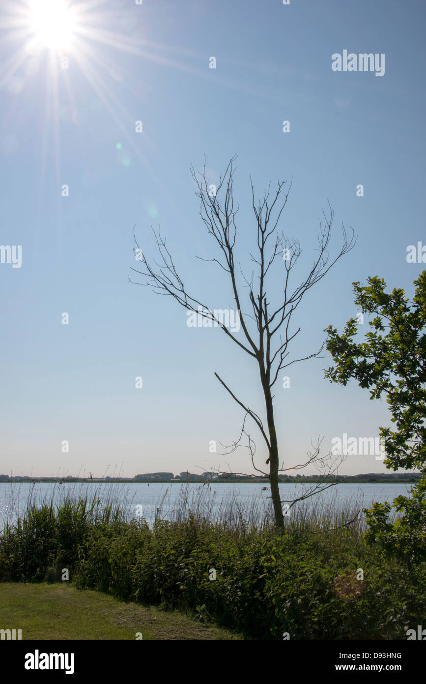 Flare water hi-res stock photography and images - Alamy