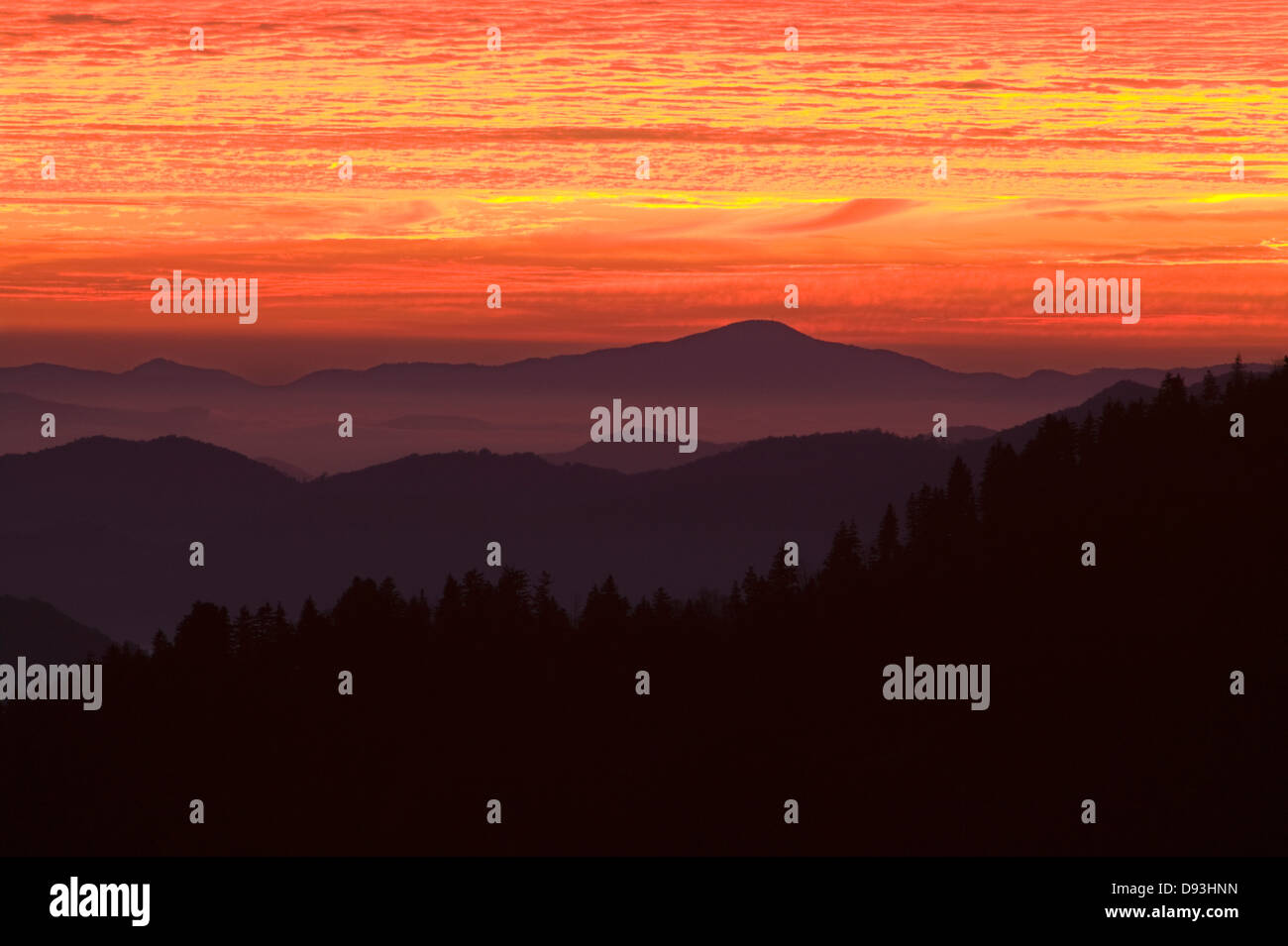 Atmospheric mountain fog hi-res stock photography and images - Alamy