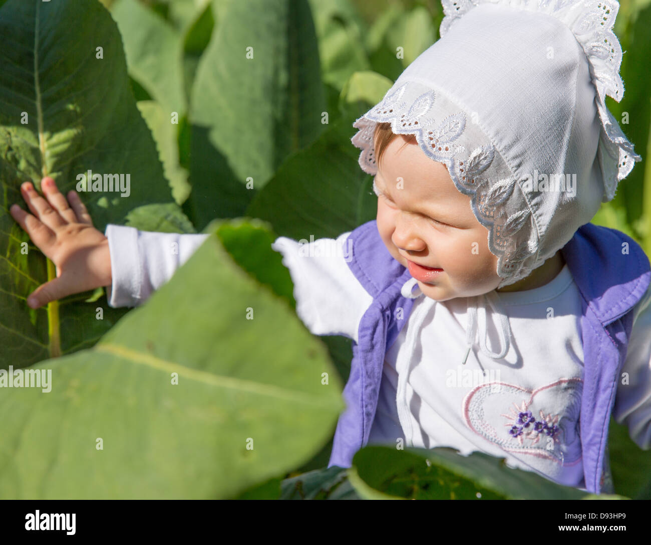 Smiling pretty little child girl in leaves of burdock in park Stock ...