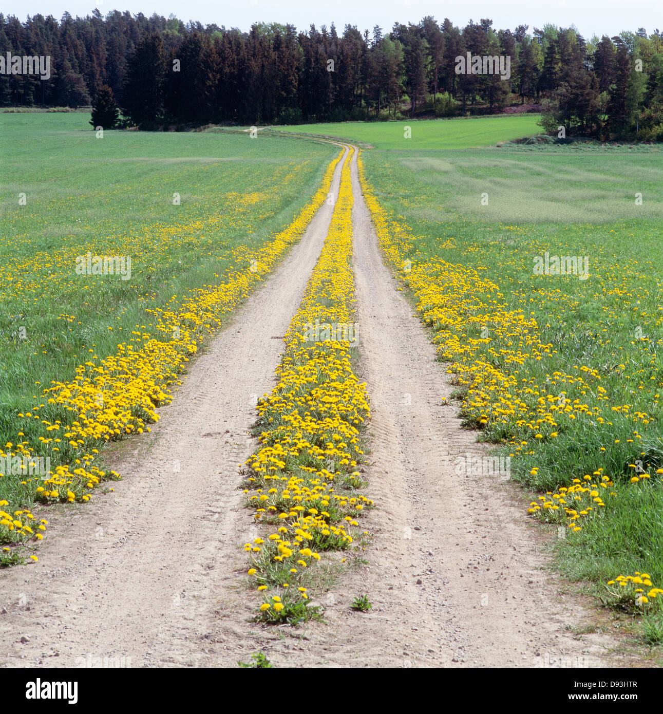 Pathway through farm Stock Photo - Alamy