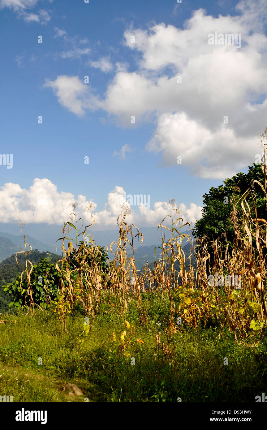 Mountains Of Sikkim High Resolution Stock Photography and Images - Alamy