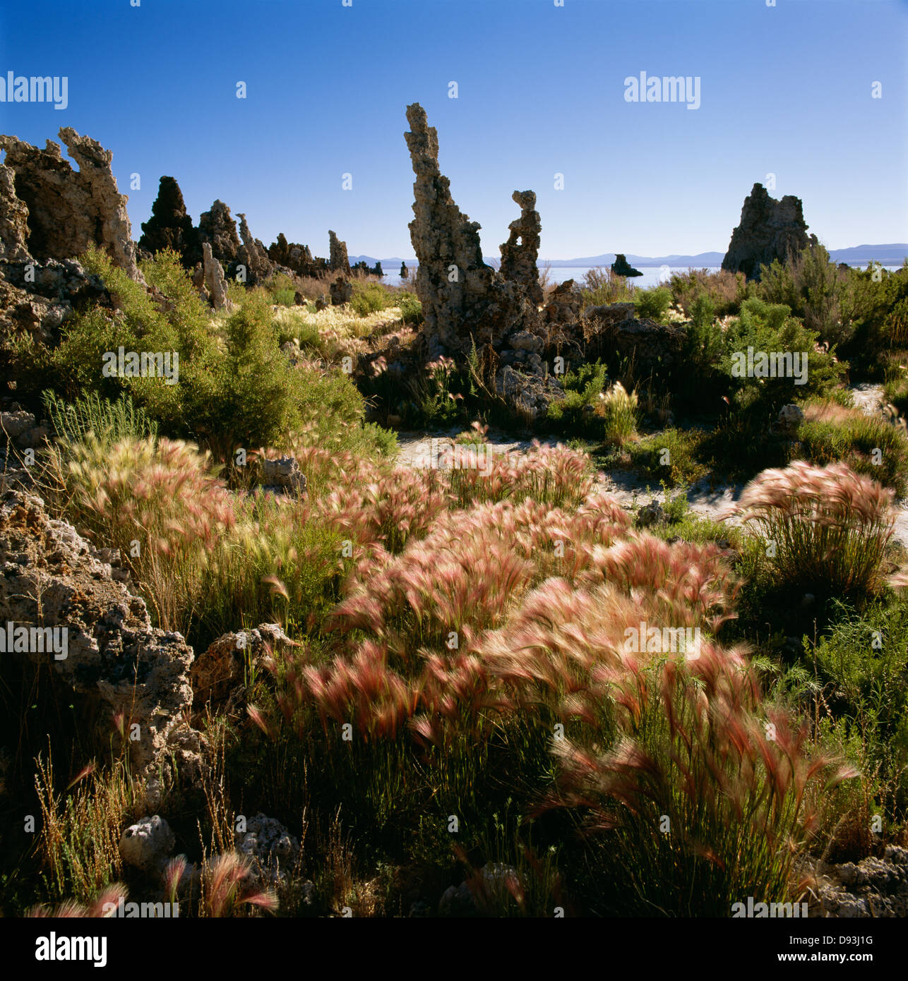 Square rock formation hi-res stock photography and images - Alamy