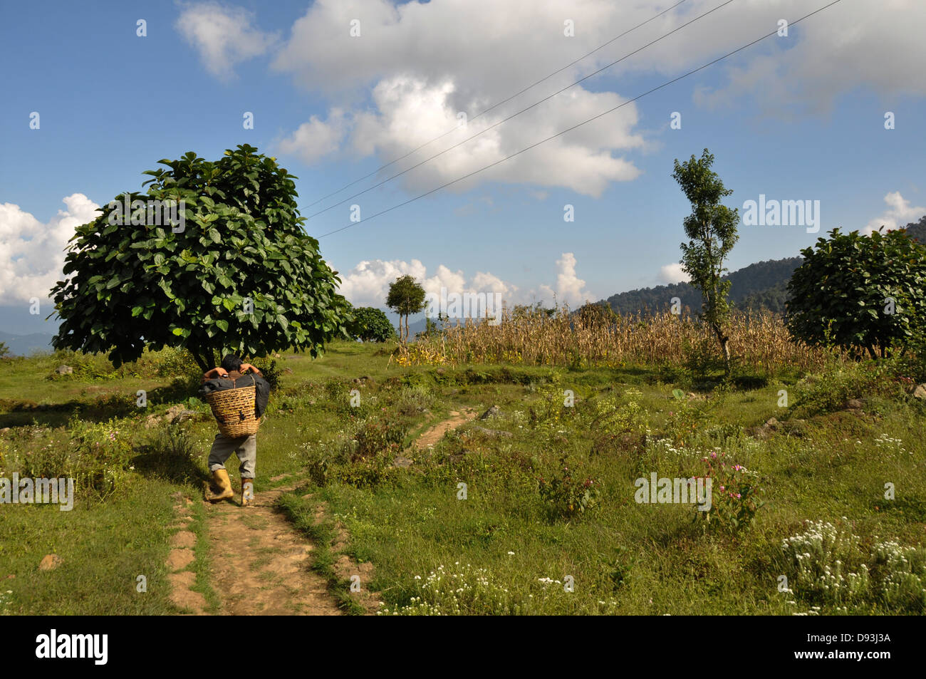 Sikkim landscape hi-res stock photography and images - Alamy