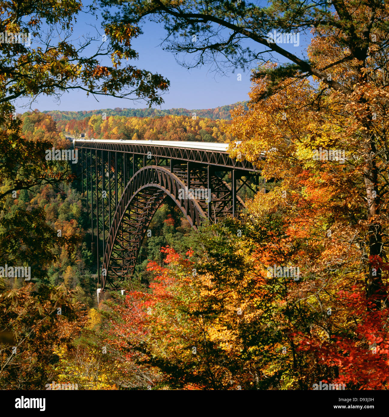 Bridge in autumn forest Stock Photo - Alamy