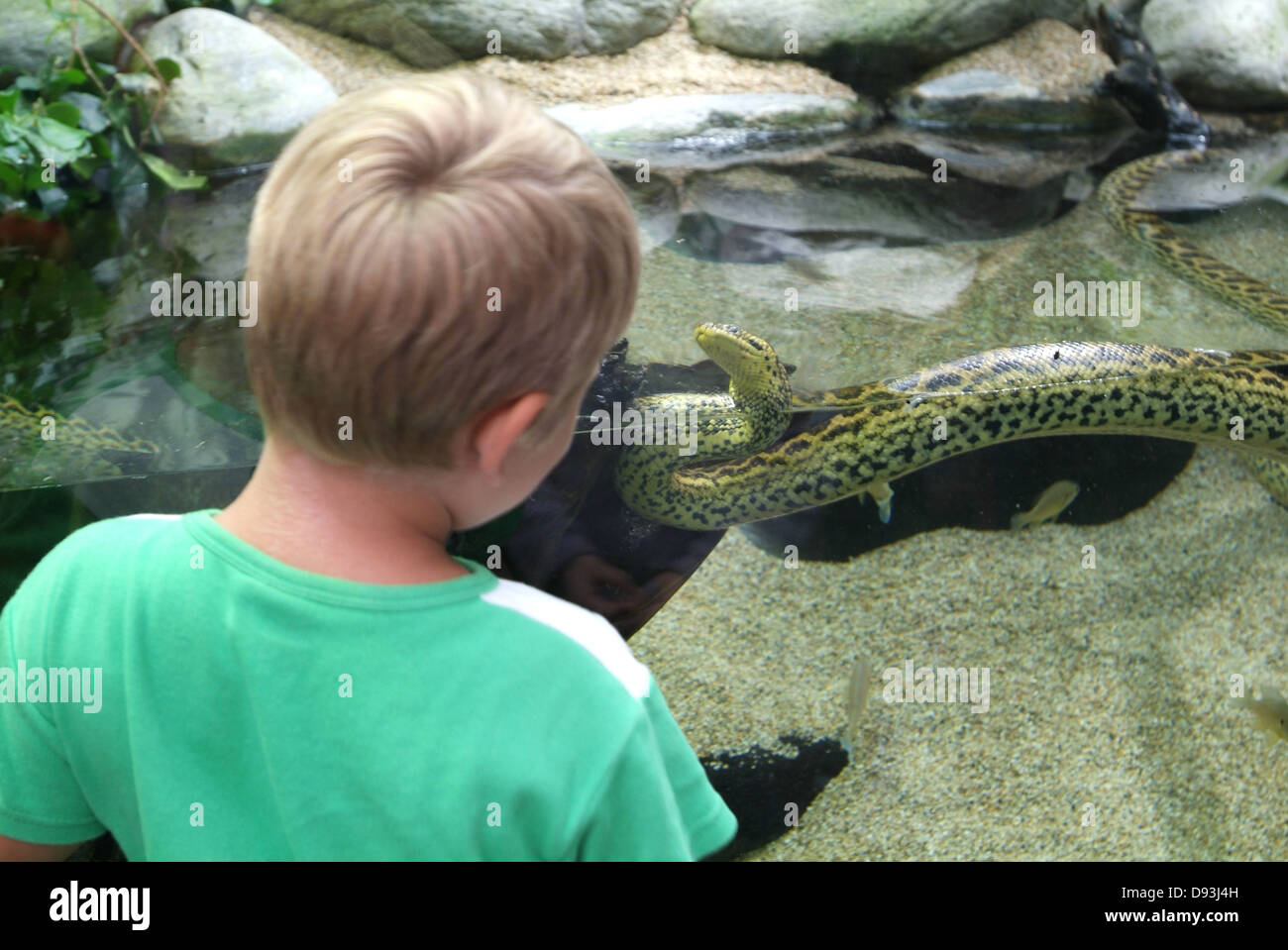 Snake zoo hi-res stock photography and images - Alamy