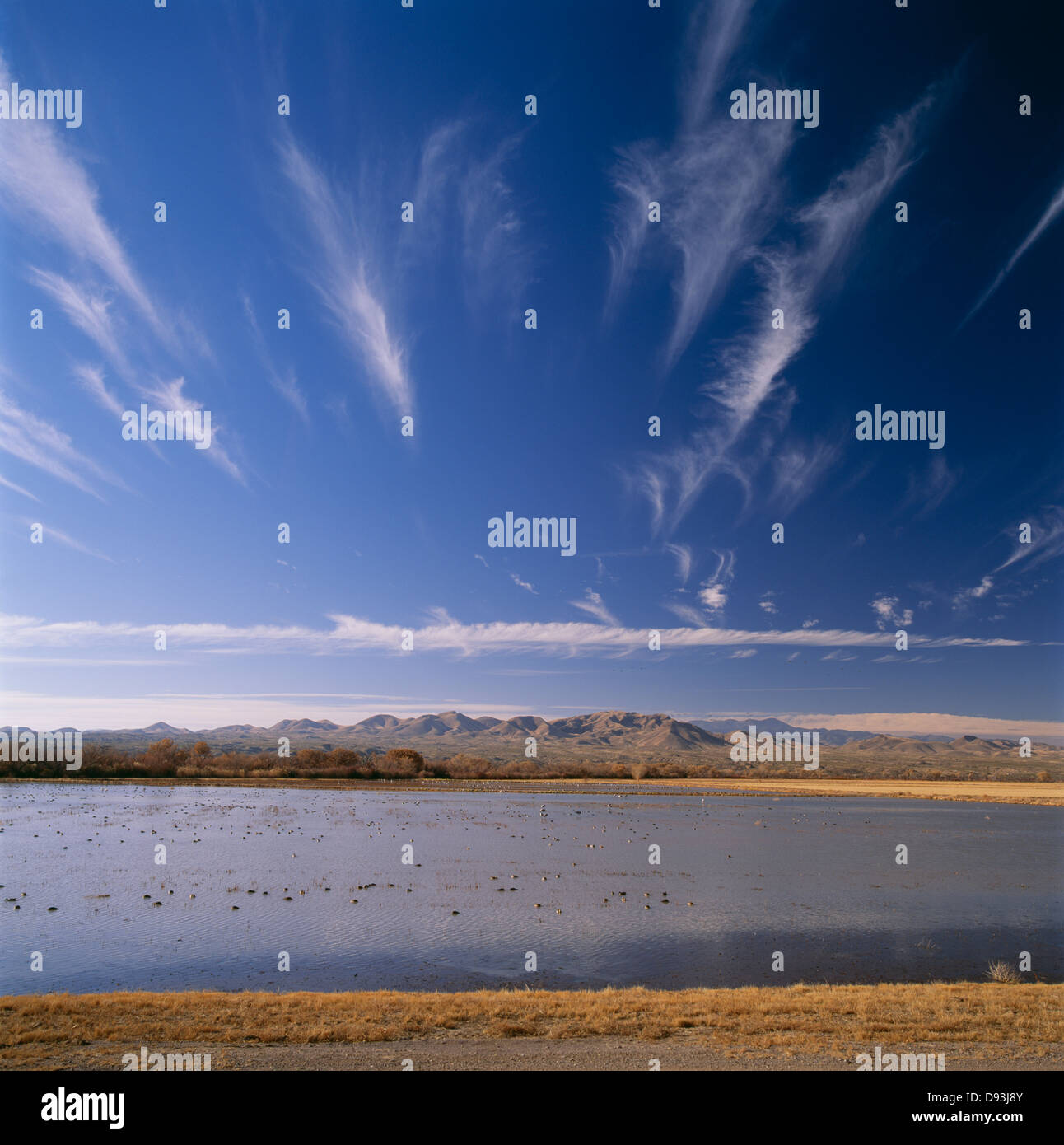 Landscape with clouds over lake Stock Photo - Alamy