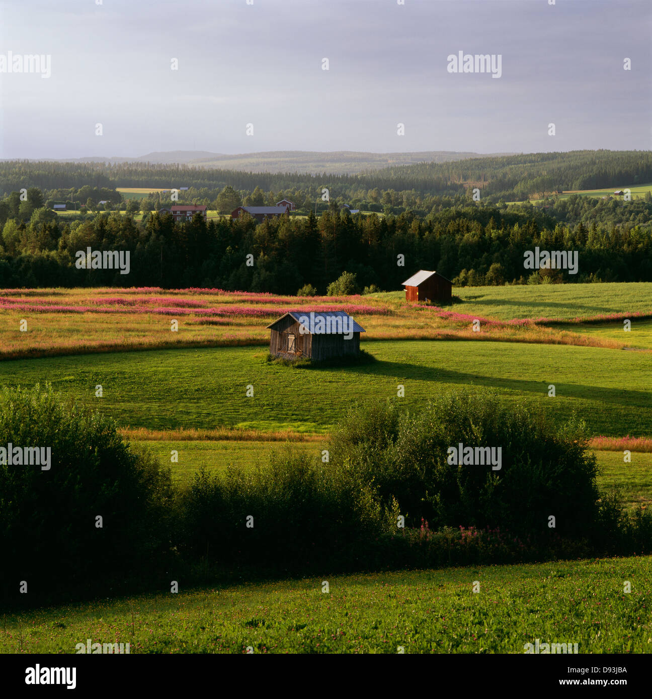 View of landscaped farm house Stock Photo - Alamy