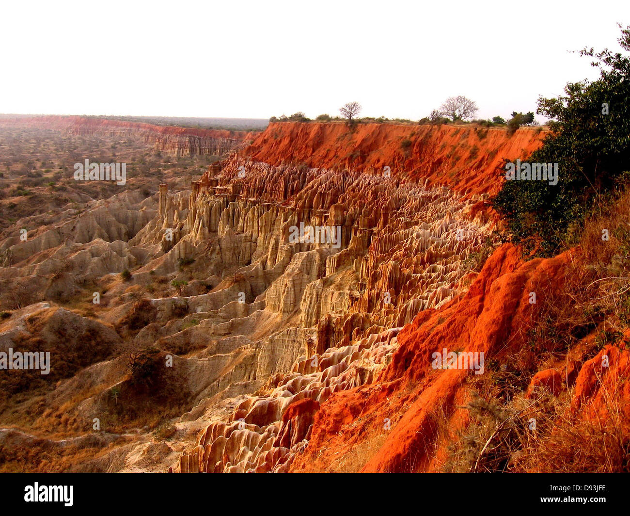 Angola eco hi-res stock photography and images - Alamy