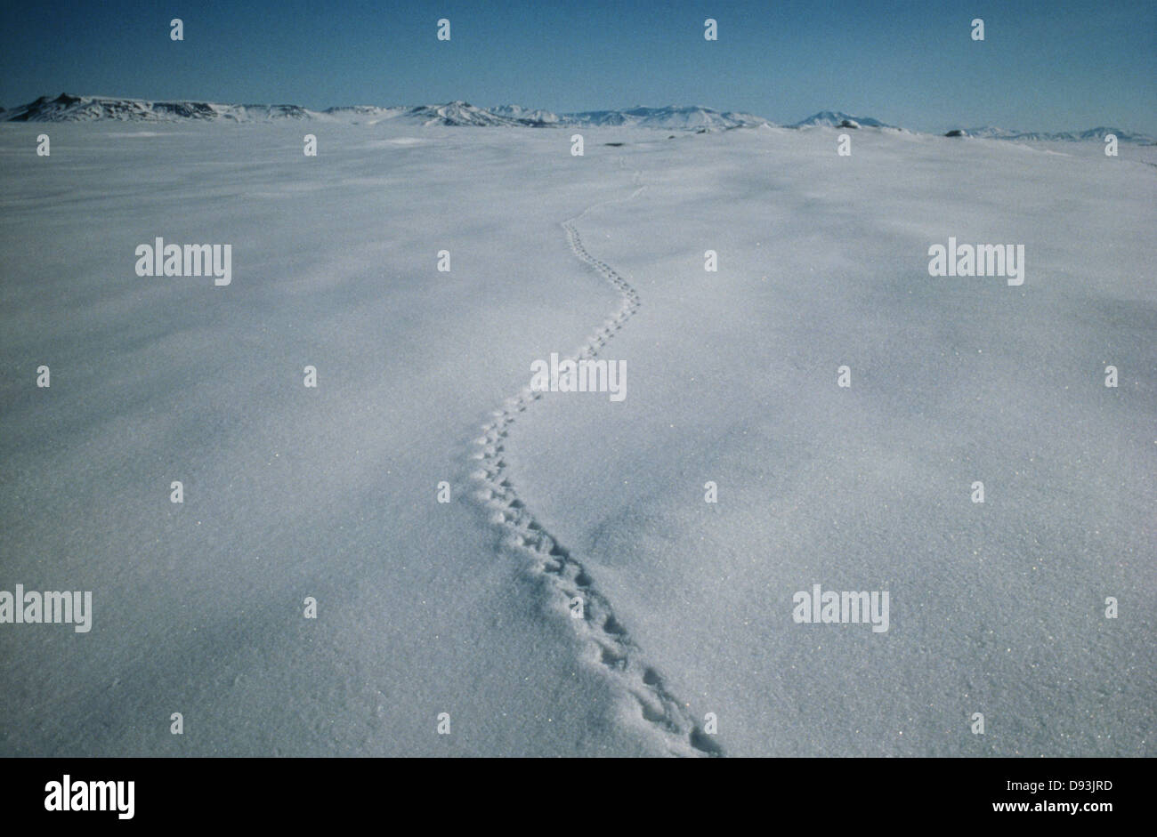 Horizontal marks hi-res stock photography and images - Alamy