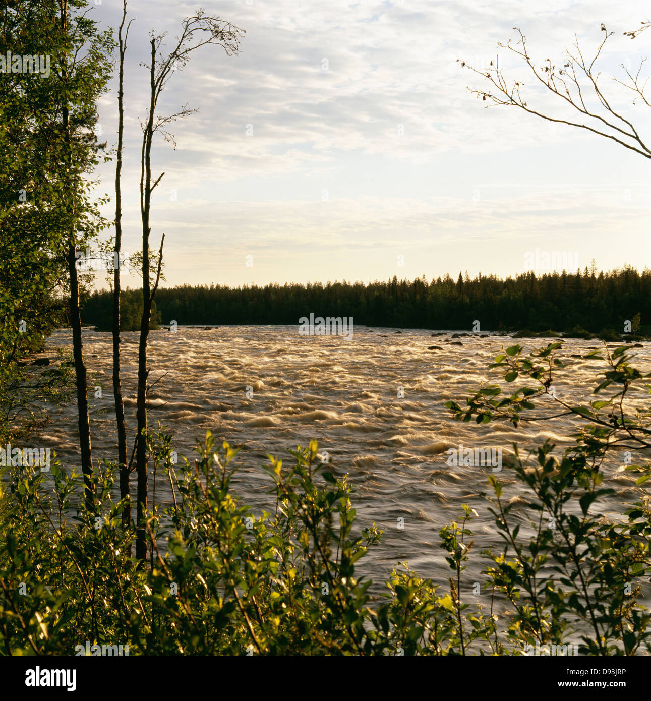 River torne hi-res stock photography and images - Alamy