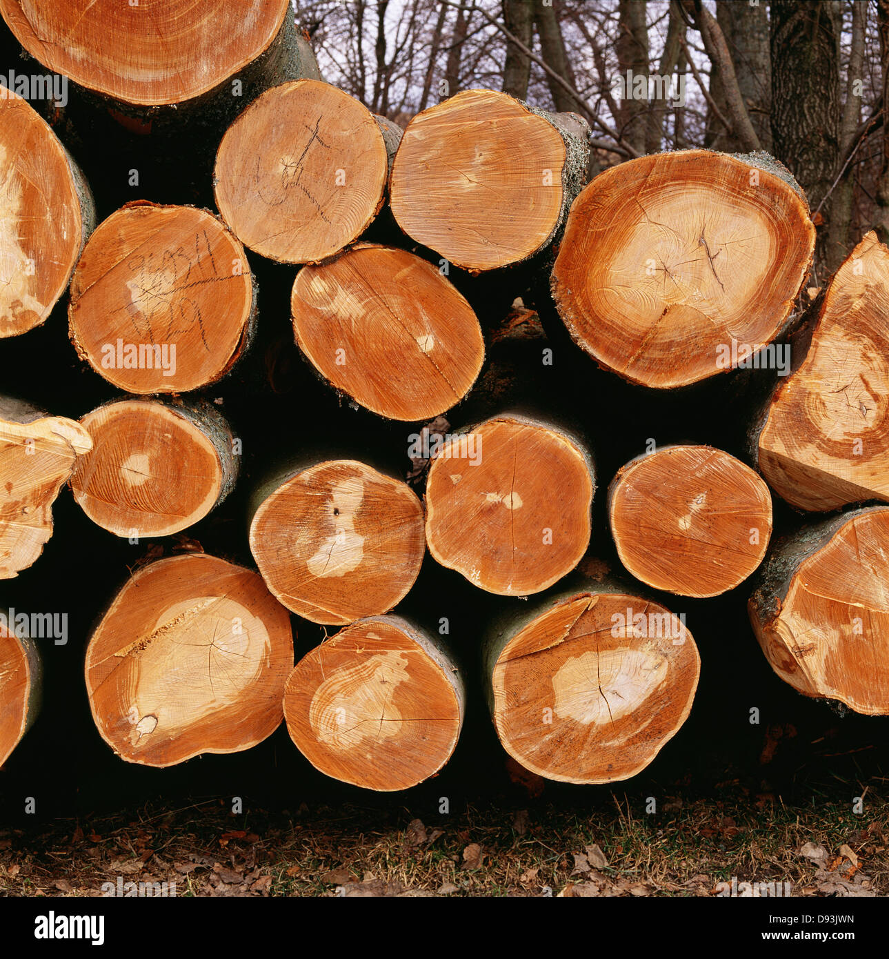 Stack of logs, close-up Stock Photo - Alamy