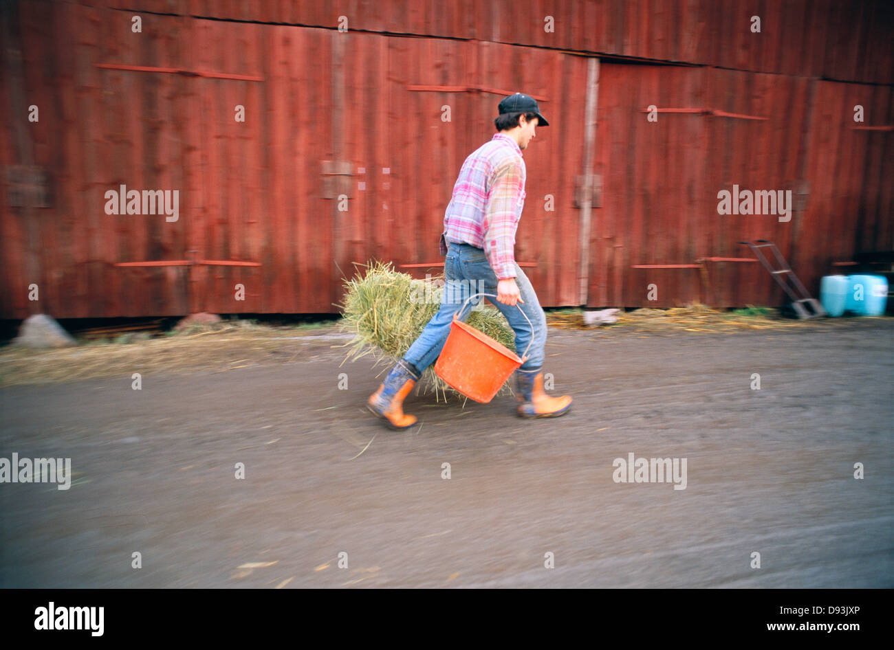 Man carrying hay and bucket Stock Photo - Alamy
