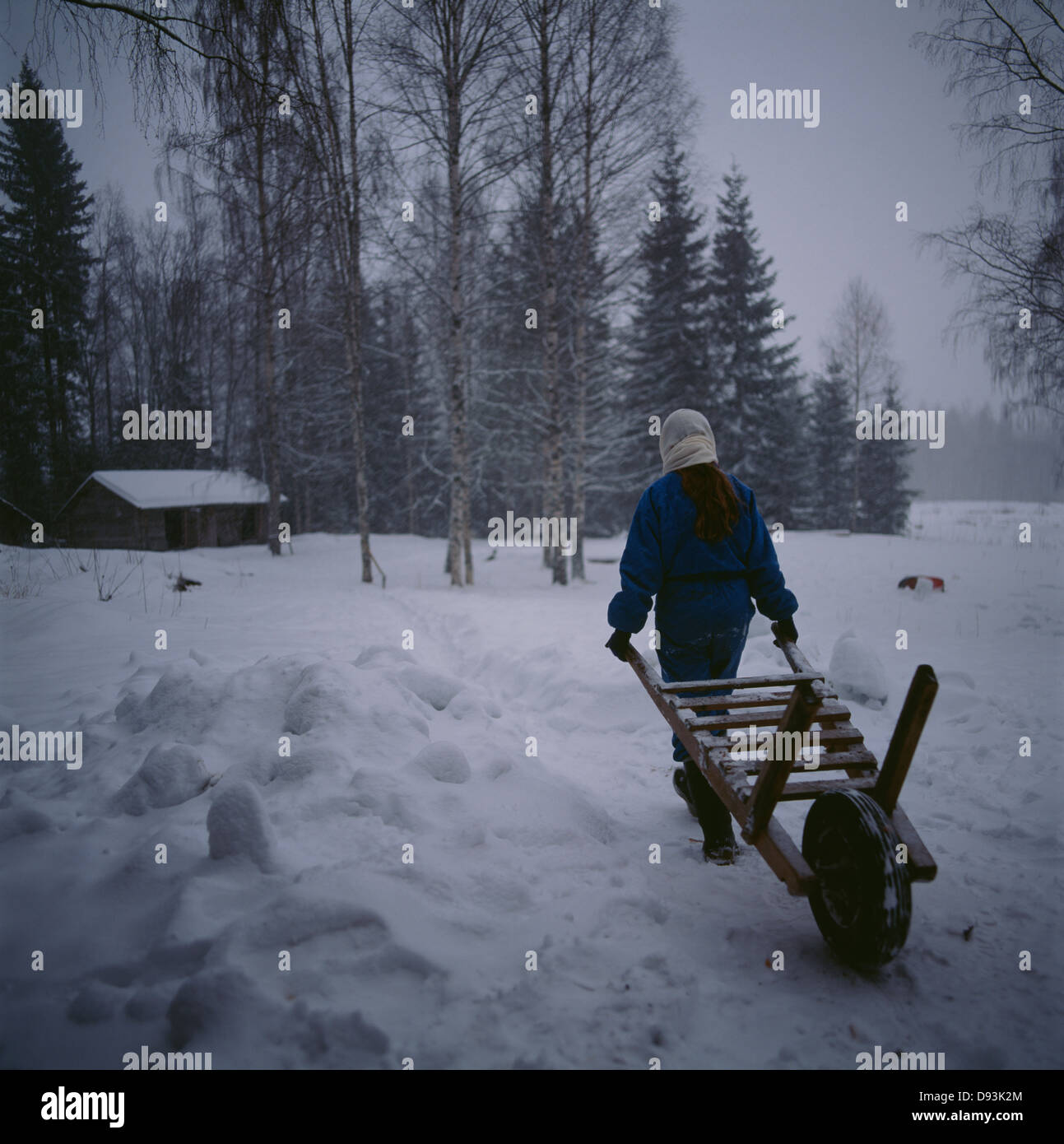 Woman pulling wheel barrow in snow Stock Photo - Alamy