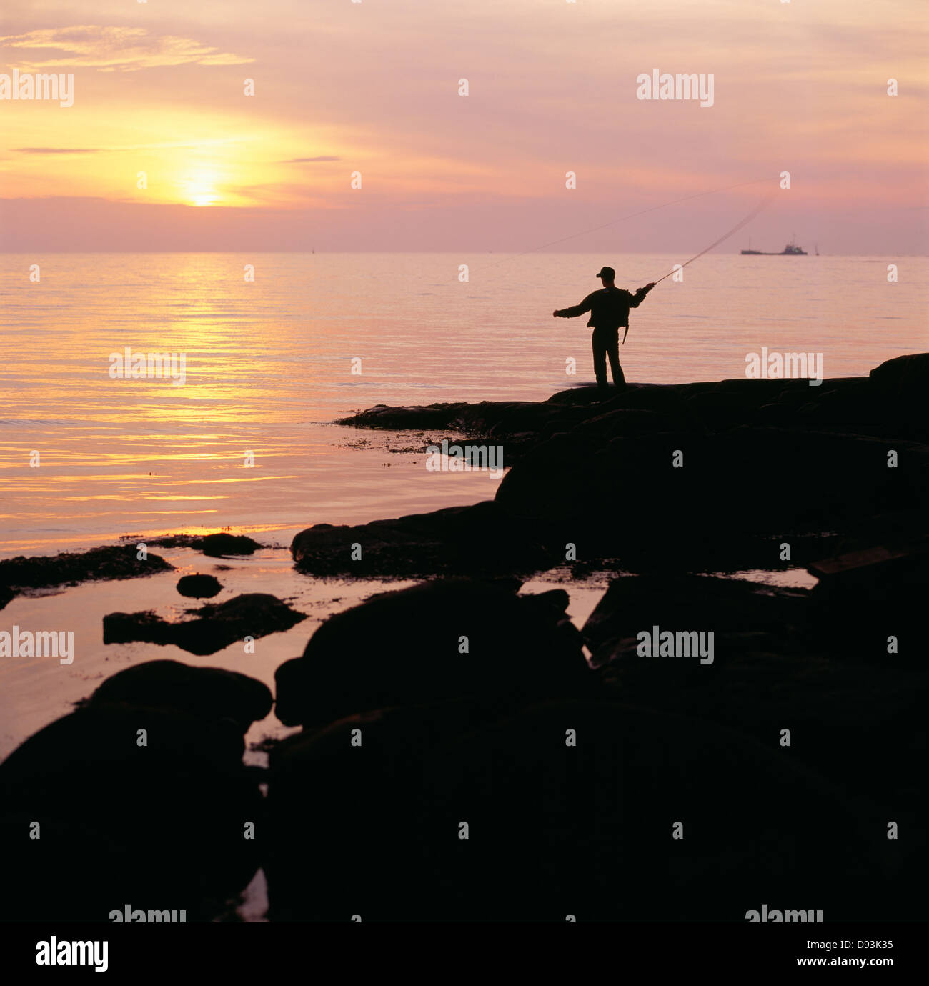 Man fishing at seashore, rear view Stock Photo - Alamy