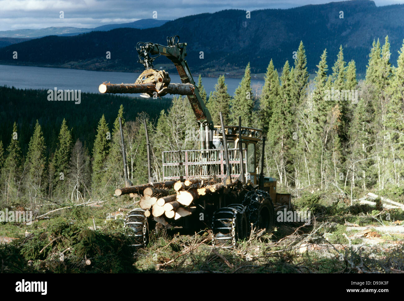 Lifting log hi-res stock photography and images - Alamy