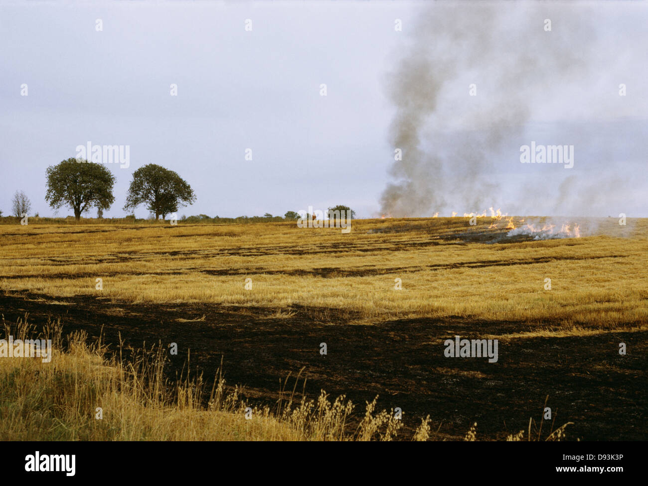 Burning field hi-res stock photography and images - Alamy