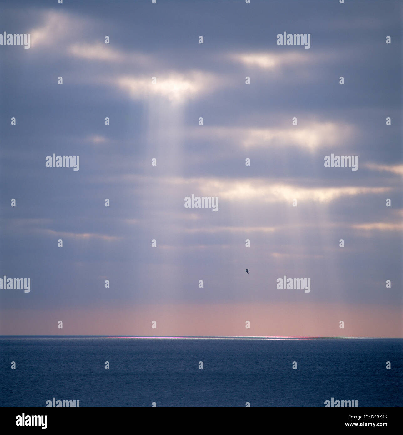 Streams of sunshine over the sea Stock Photo - Alamy