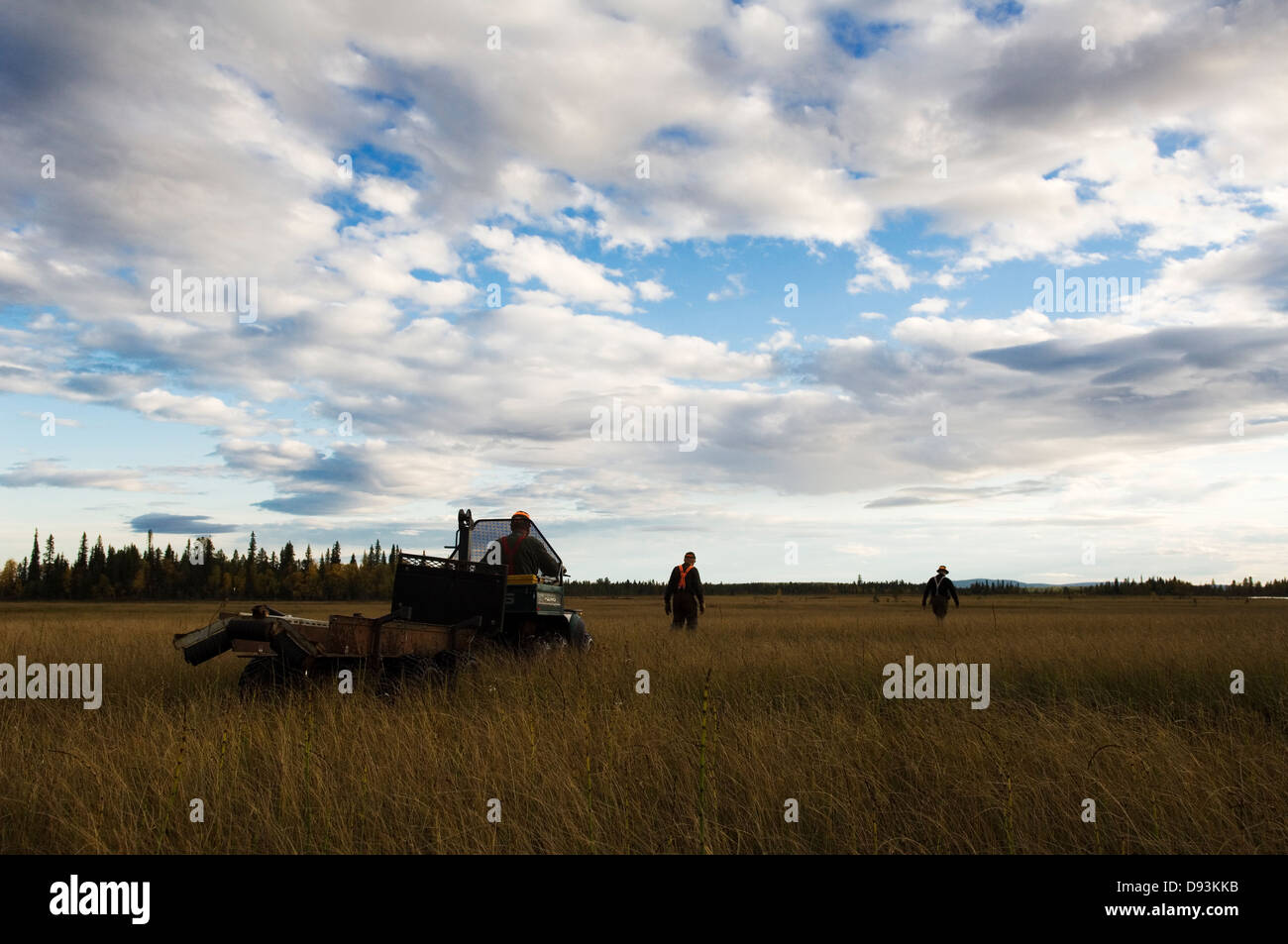 Men elk-hunting, Sweden Stock Photo - Alamy