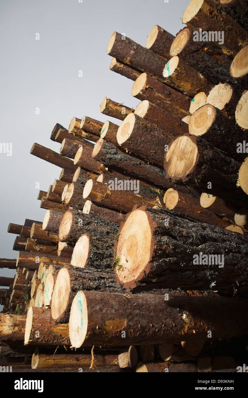 Sunnemo High Resolution Stock Photography and Images - Alamy