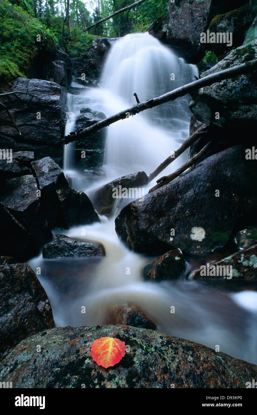 An autumn leaf by a waterfall Stock Photo - Alamy