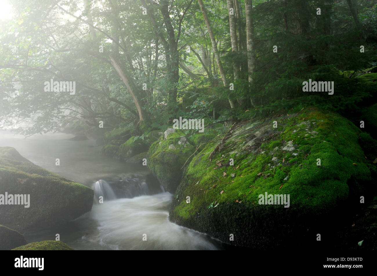 A small river, Vastergotland, Sweden Stock Photo - Alamy