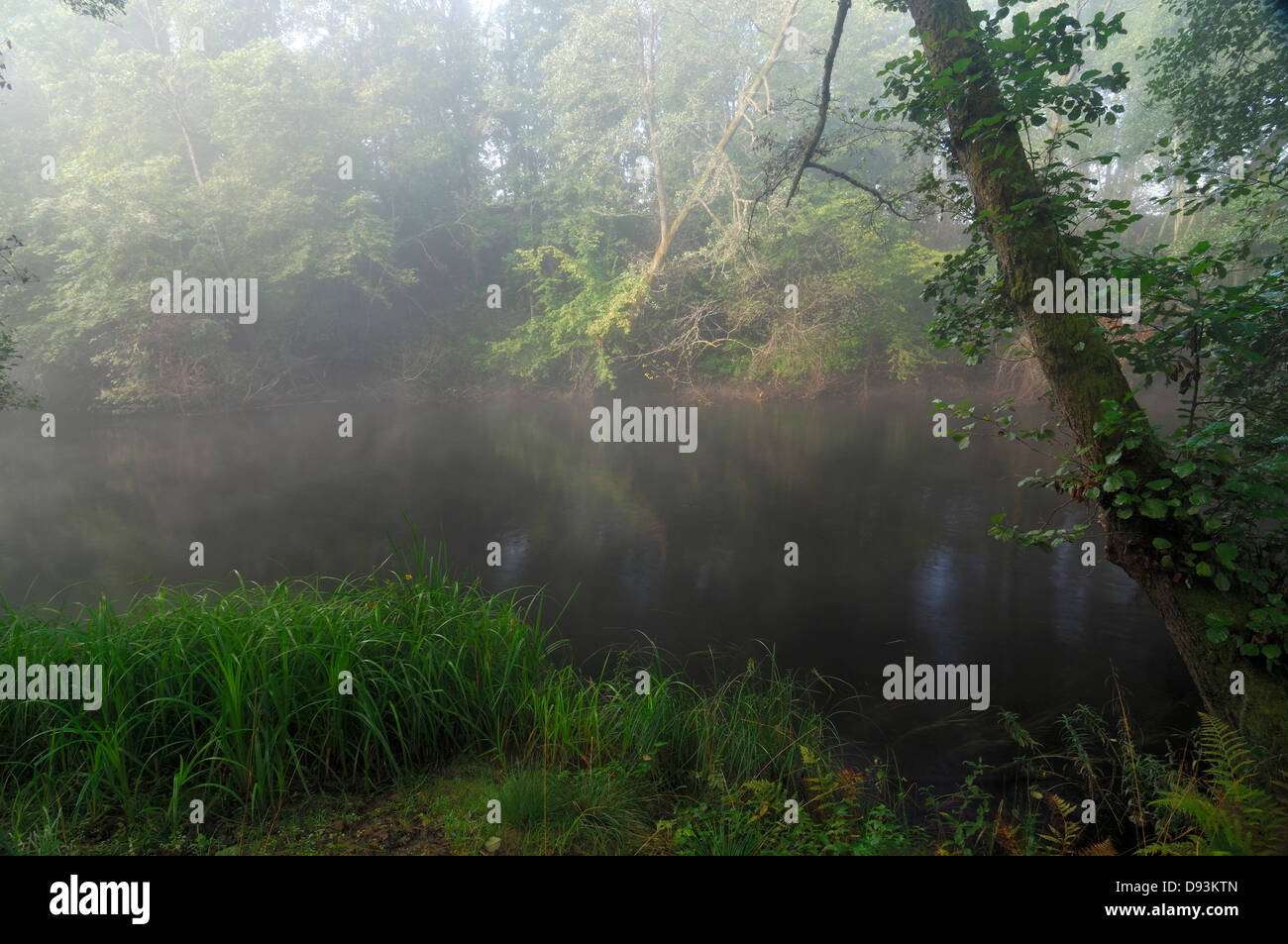 A small river, Vastergotland, Sweden Stock Photo - Alamy