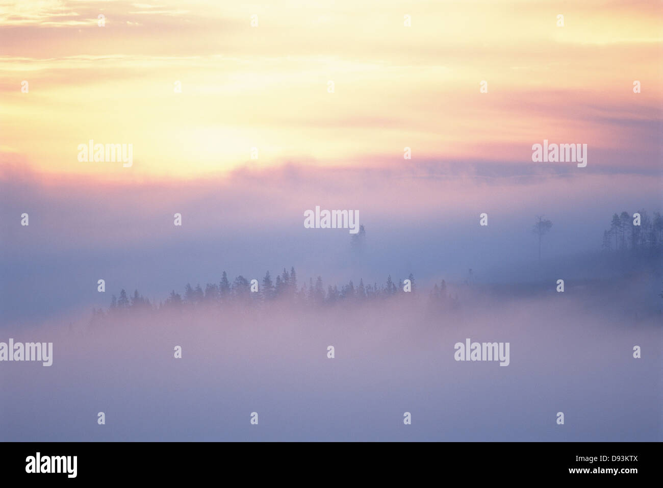 Fog over forest sunset hi-res stock photography and images - Alamy