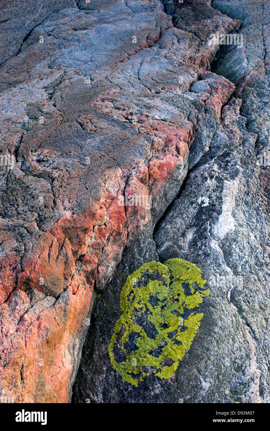 A close-up of a rock, Sweden Stock Photo - Alamy