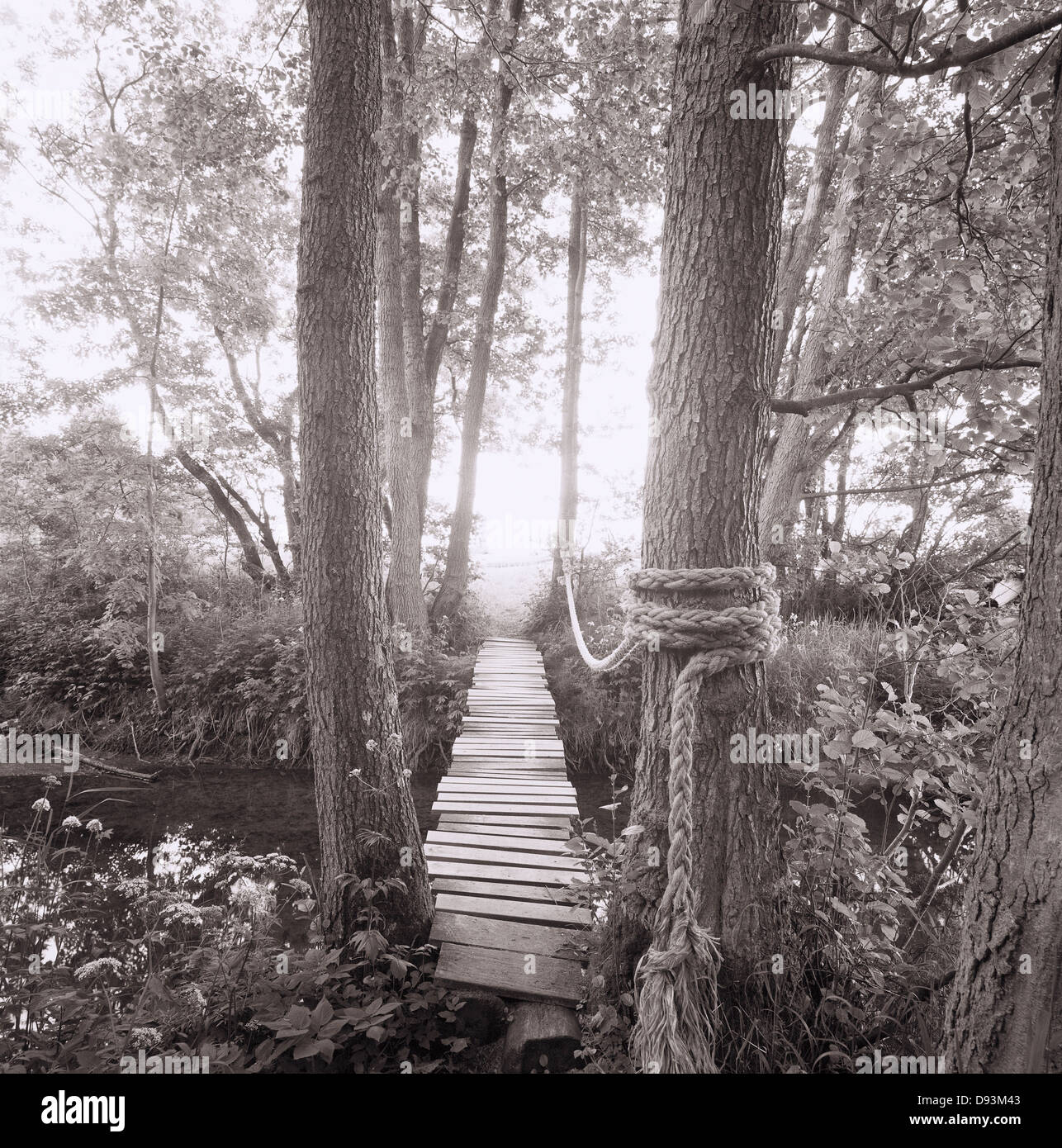 Footbridge over a small river Stock Photo - Alamy