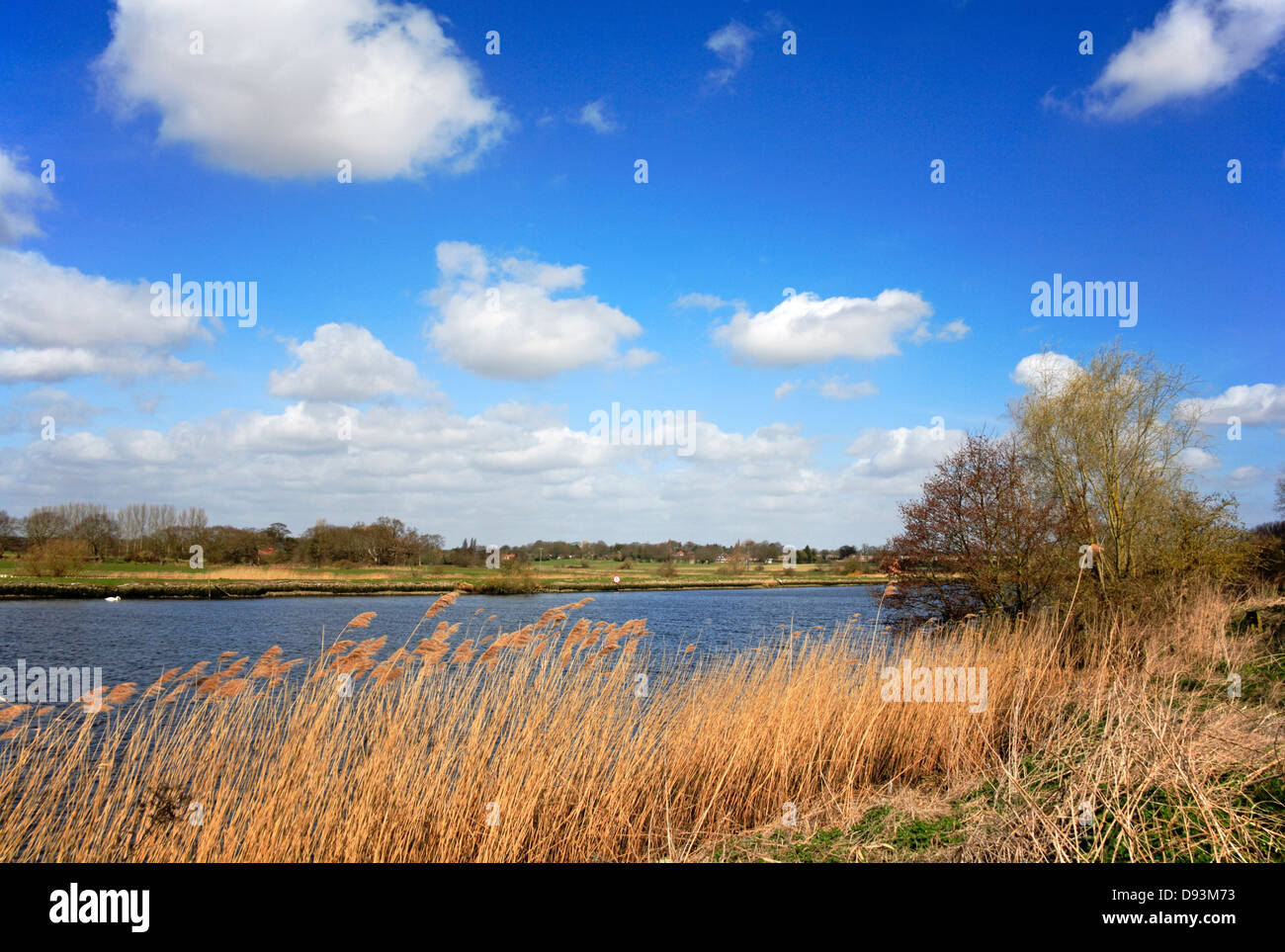 A view of the River Yare on the Norfolk Broads at Surlingham, Norfolk ...