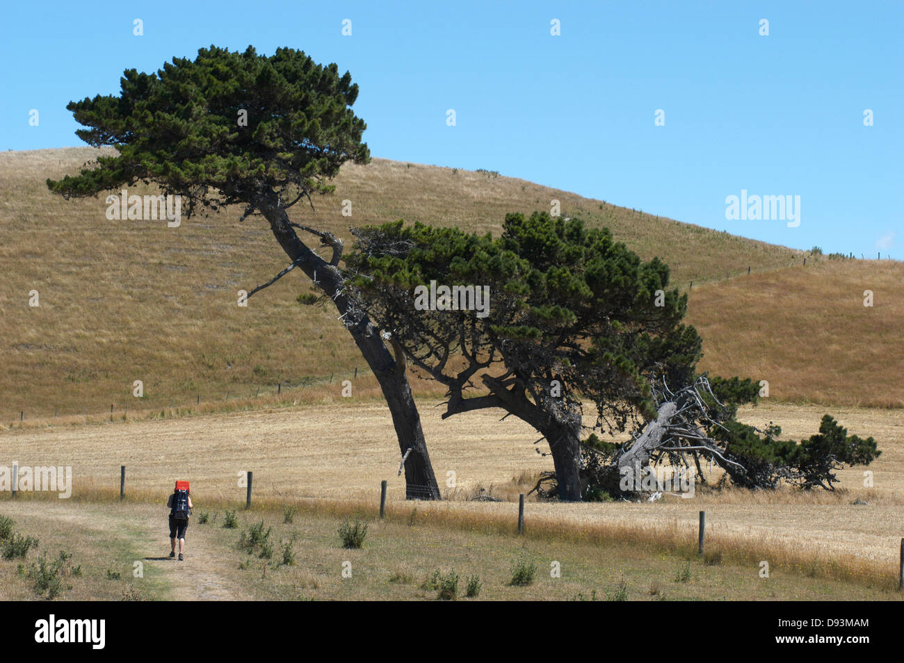 A woman walking with a backpack Stock Photo - Alamy