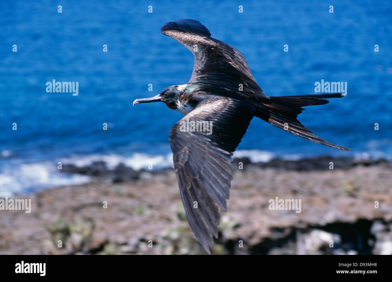 Flight side hi-res stock photography and images - Alamy