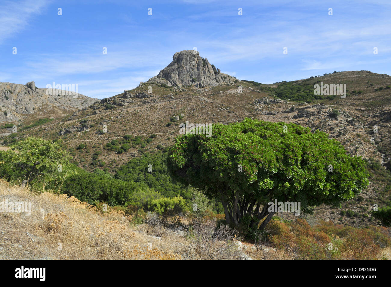 Sardinia seulo mountains hi-res stock photography and images - Alamy