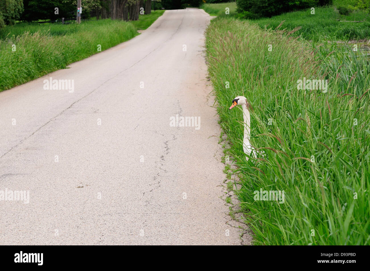 Peer language hi-res stock photography and images - Alamy