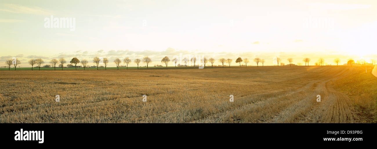 Sunlight over field during autumn Stock Photo - Alamy