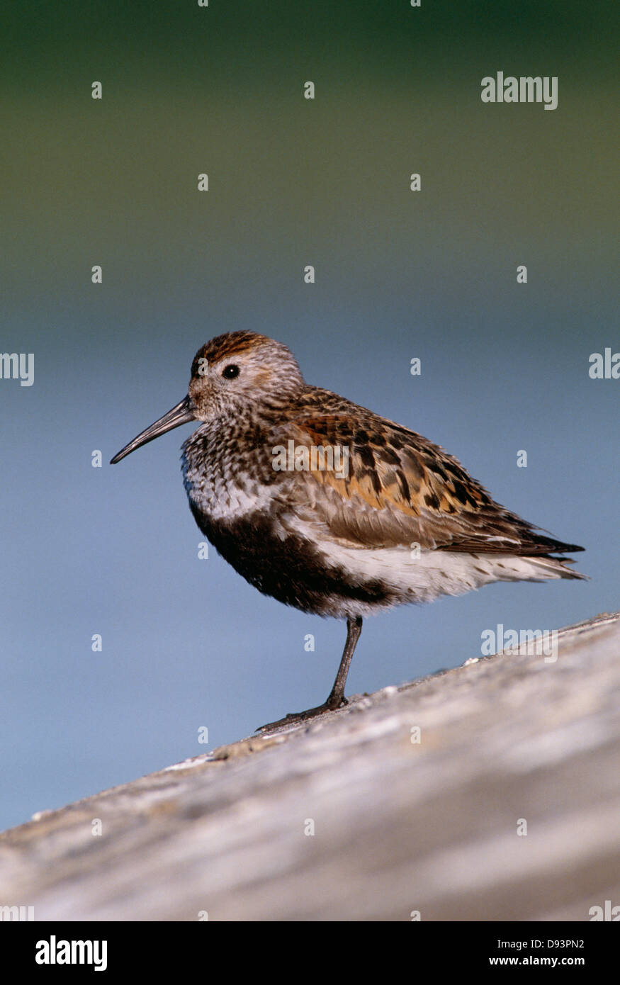 Slanted slope hi-res stock photography and images - Alamy