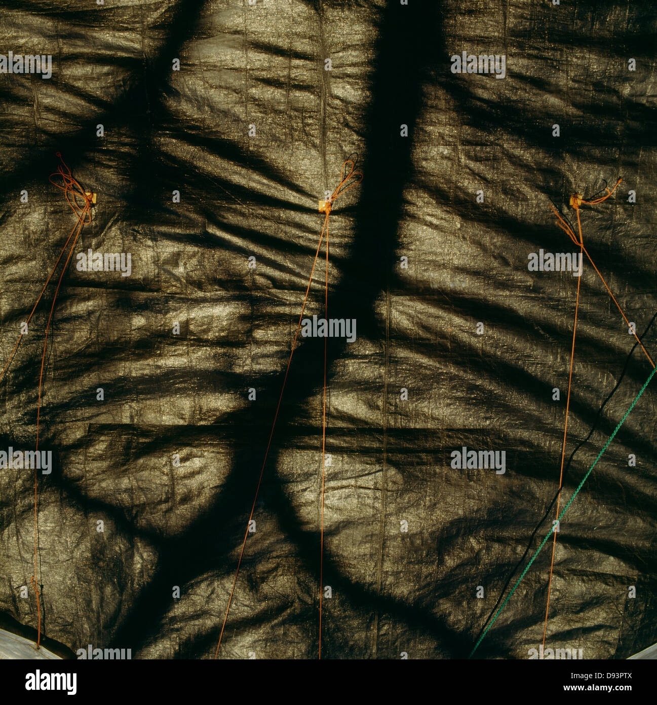 Black wrapped plastic with strings, full frame Stock Photo - Alamy