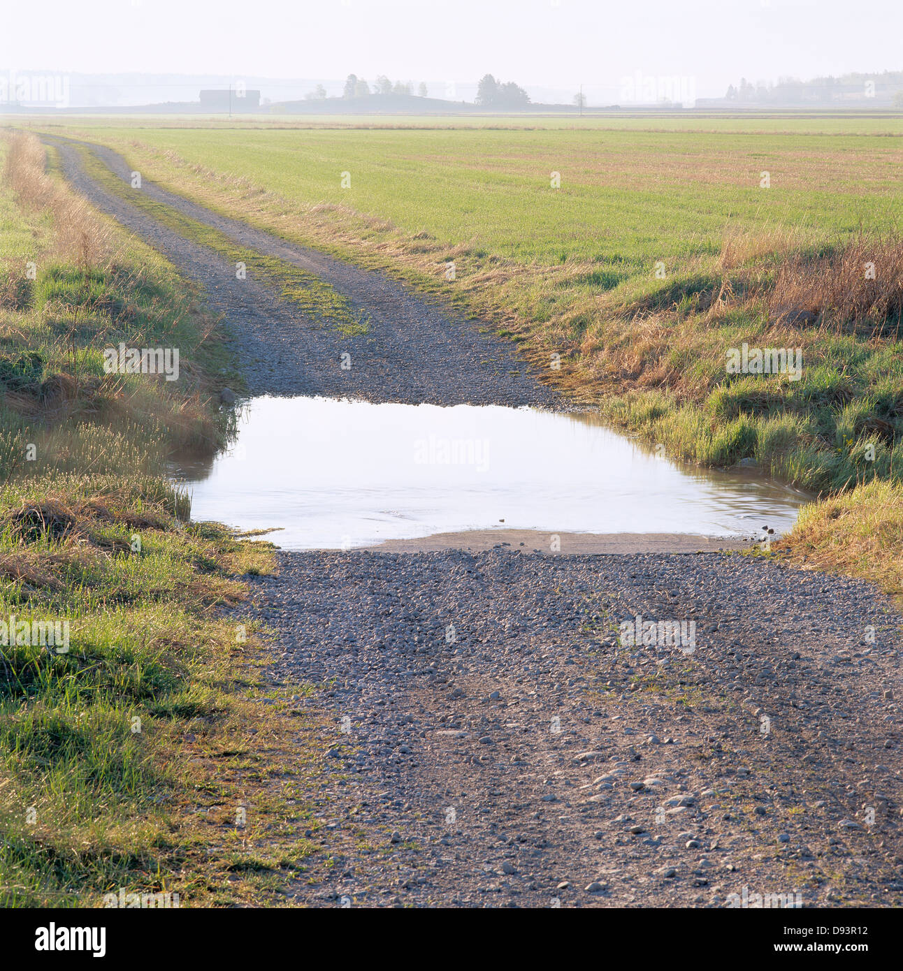 Pool of water on a road Stock Photo - Alamy