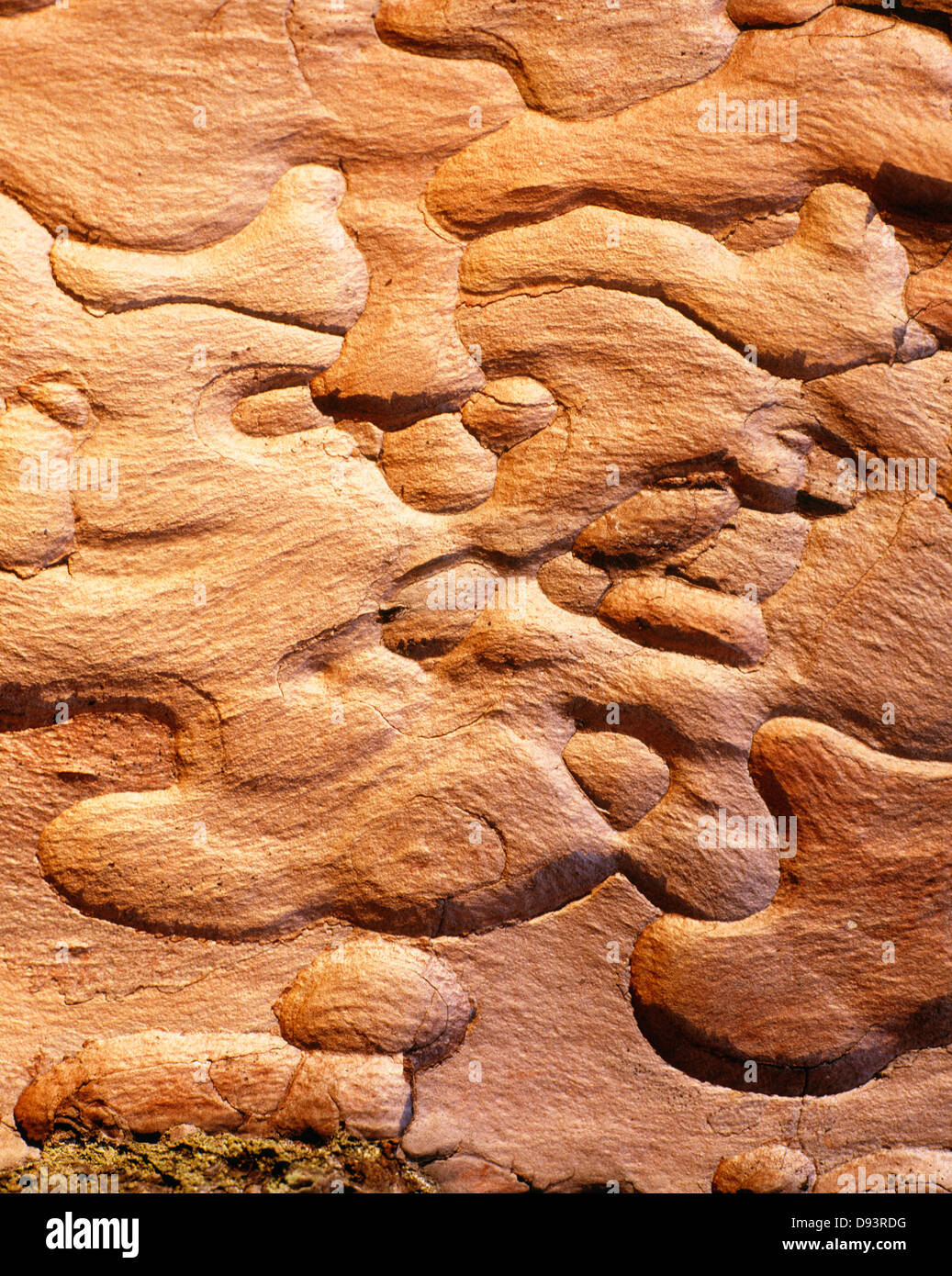 Uneven wall in cave, close-up Stock Photo - Alamy