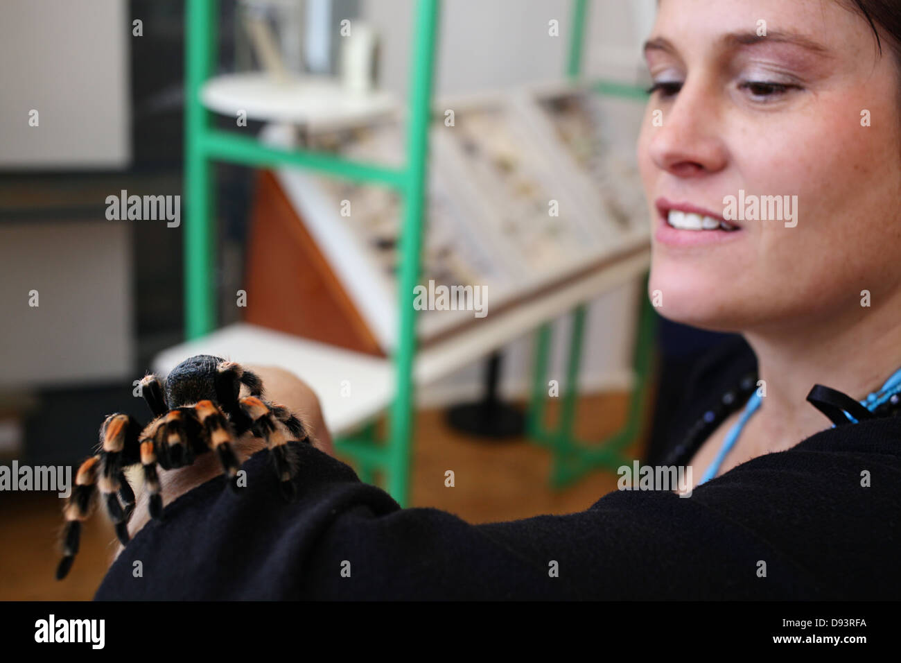 Iziko, South African Museum Stock Photo - Alamy