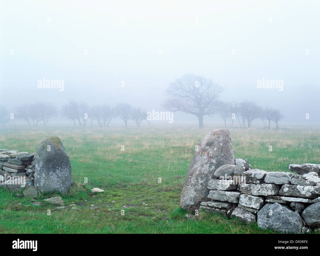 Stone wall in foggy landscape Stock Photo - Alamy