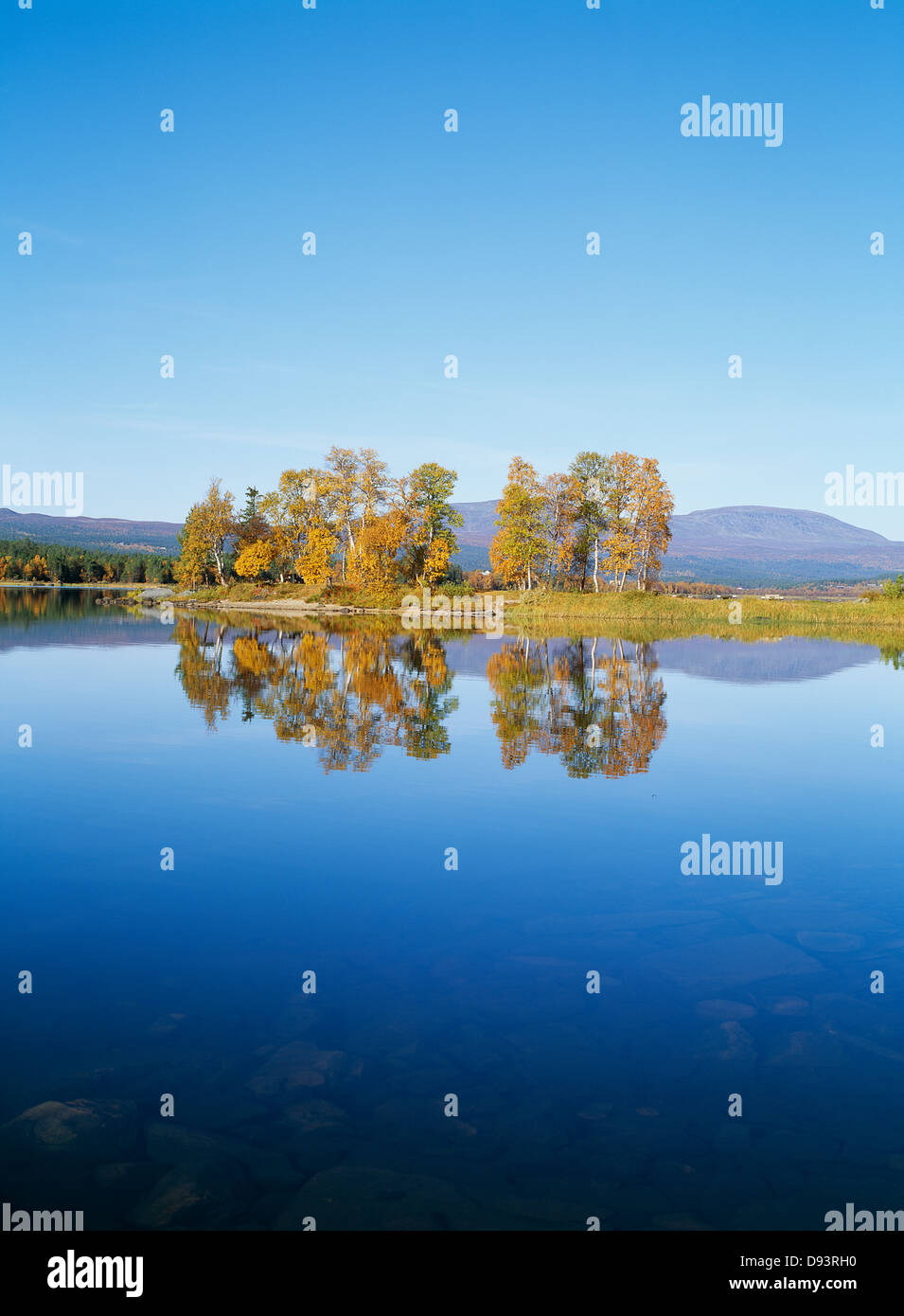 Still trees hi-res stock photography and images - Alamy