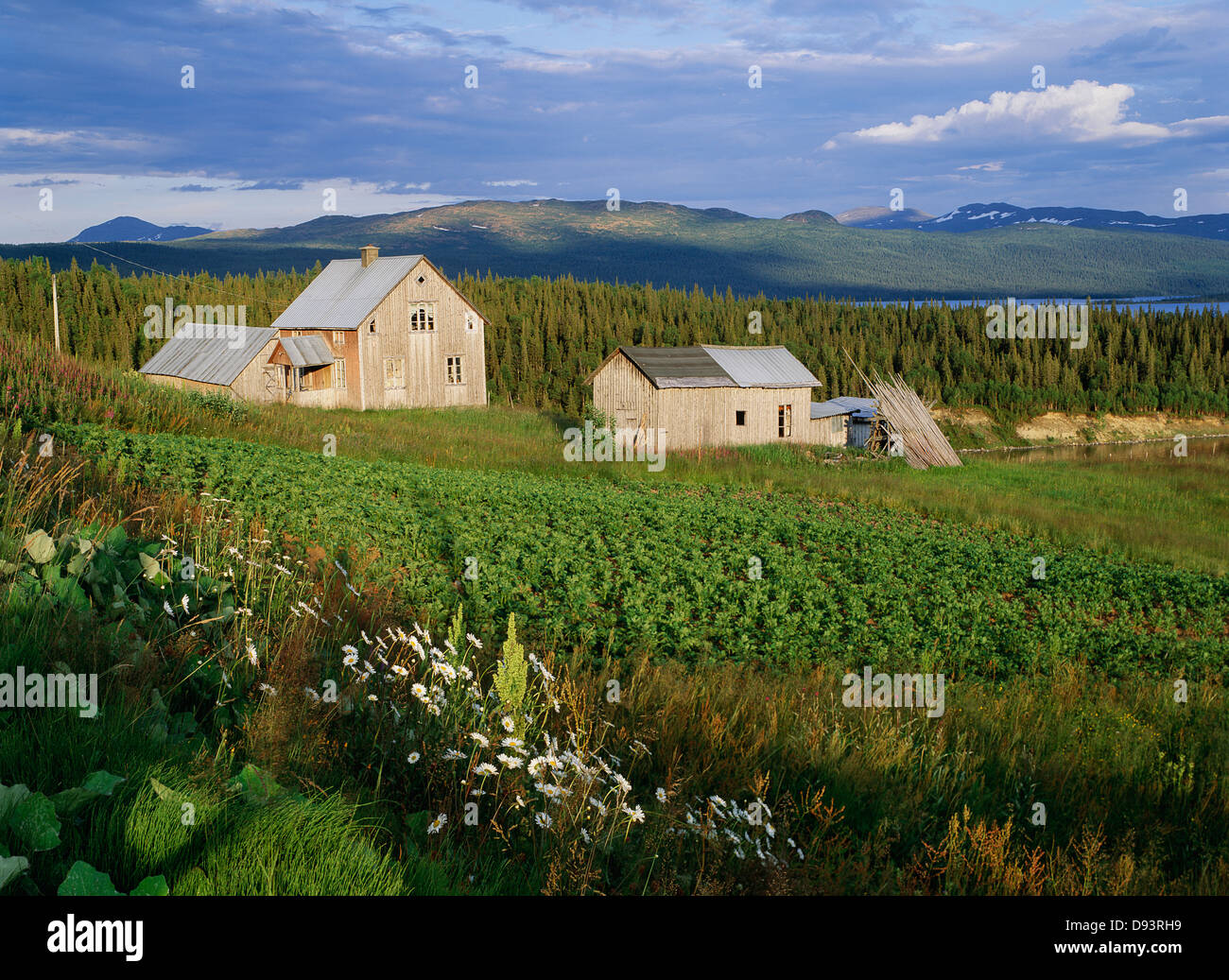 Houses in lush landscape Stock Photo - Alamy