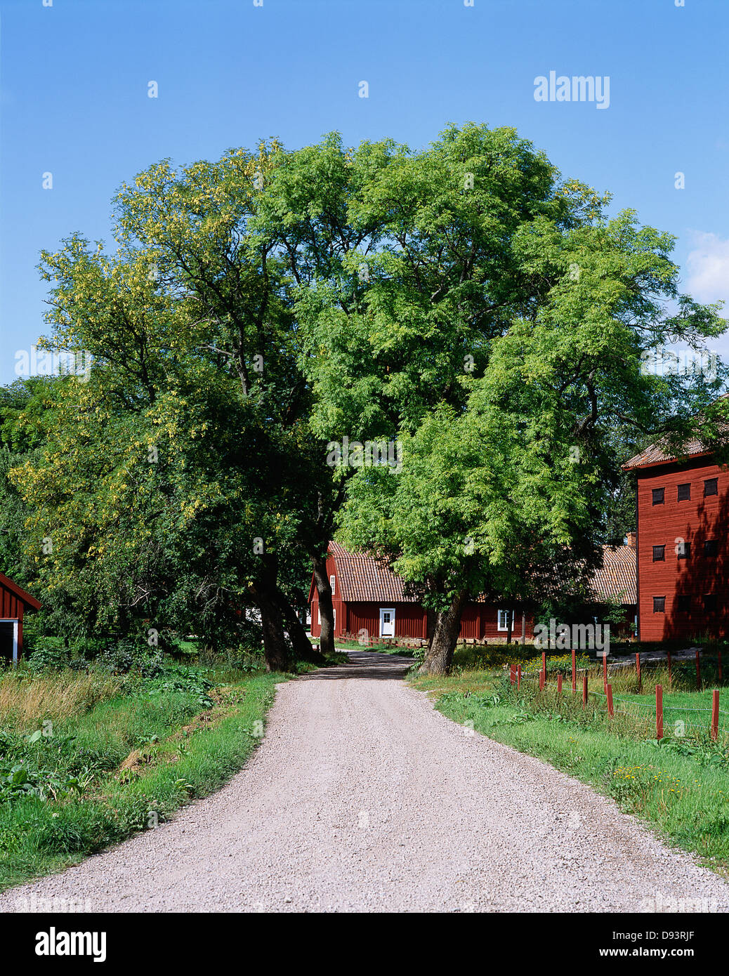Country road and tree hi-res stock photography and images - Alamy