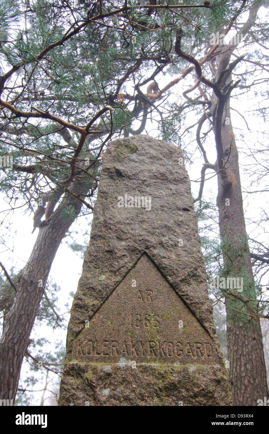 Tree gravestone hi-res stock photography and images - Alamy