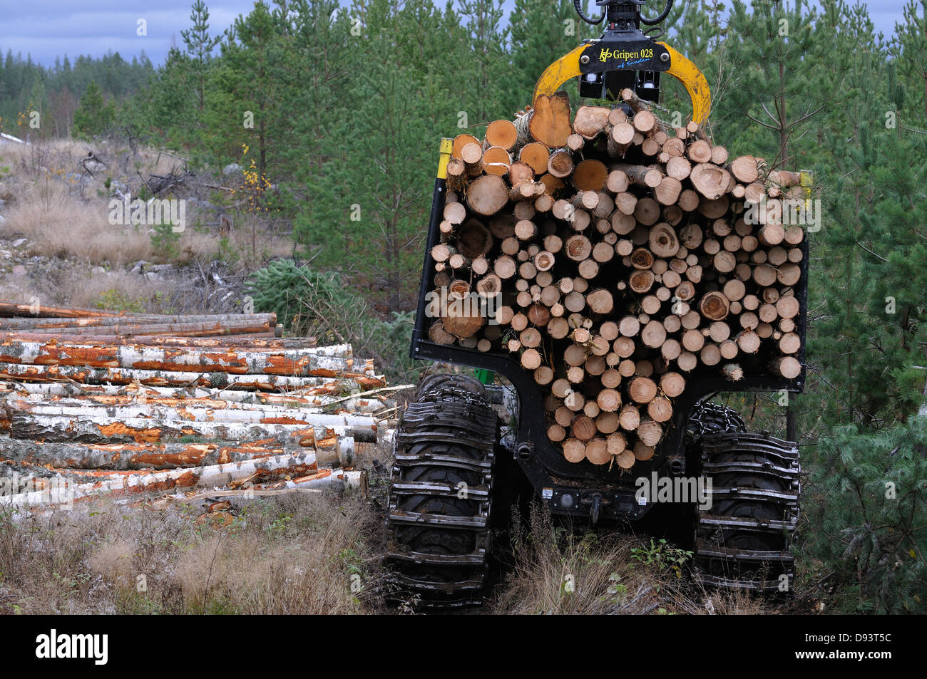 Forestry forwarder hi-res stock photography and images - Alamy