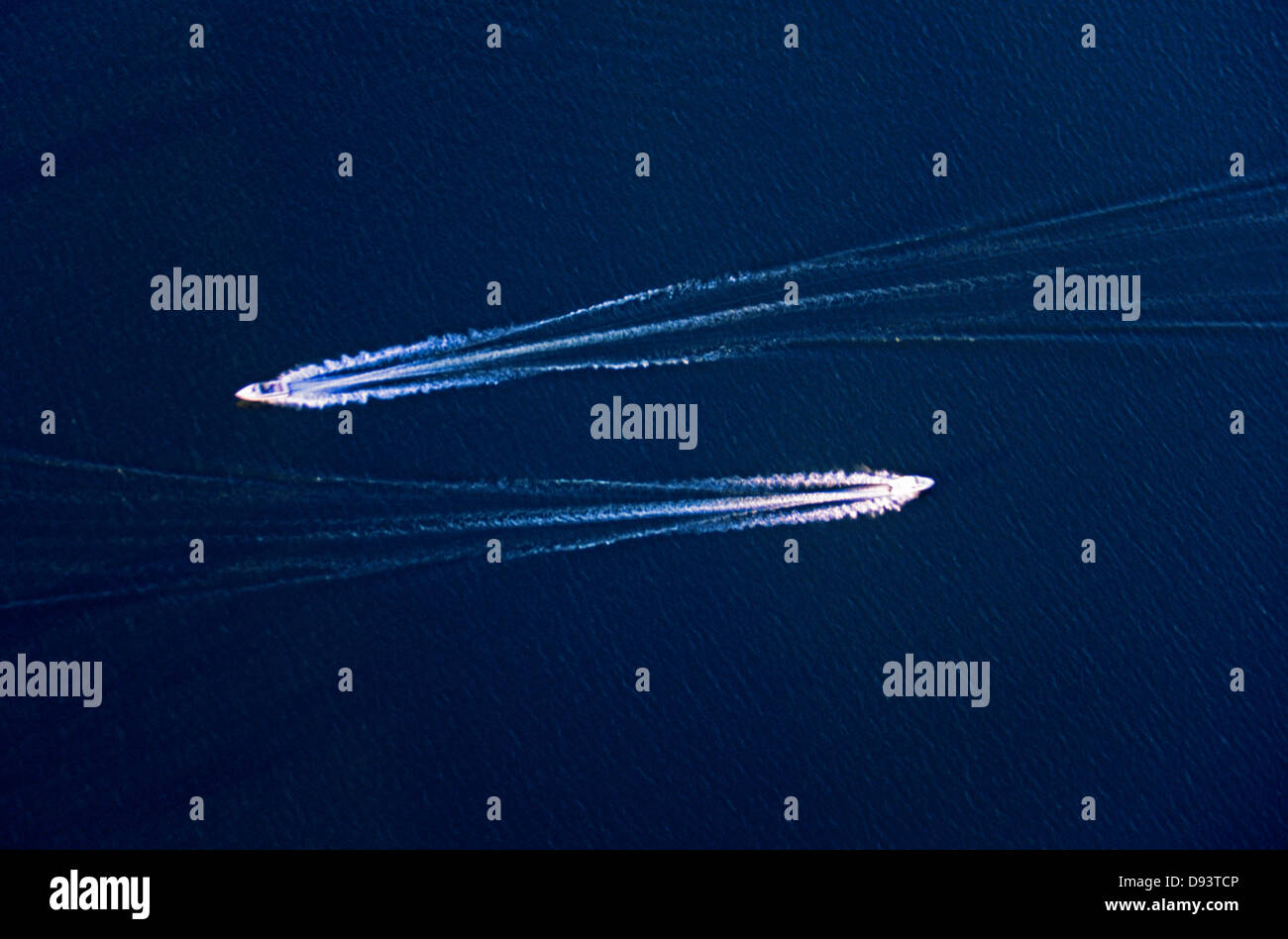 Sea life tracks hi-res stock photography and images - Alamy