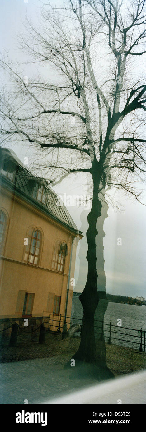 Reflection of tree and house in Stockholm Stock Photo - Alamy